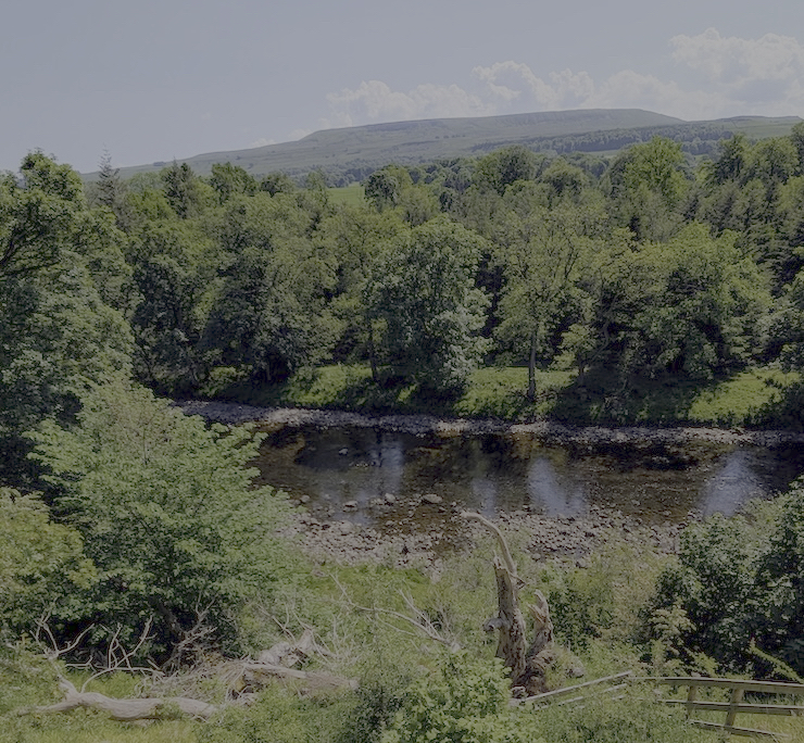 Rewilding Mill Farm, Redmire v2 — Yorkshire Rewilding Network