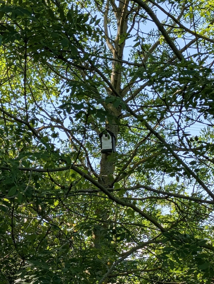 Rewilding Mill Farm, Redmire v2 — Yorkshire Rewilding Network